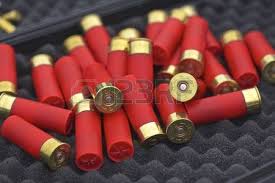 Shotgun Shells – Max Tactical